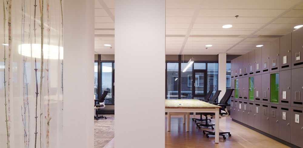 Workplace Element: Lockers | Office Snapshots