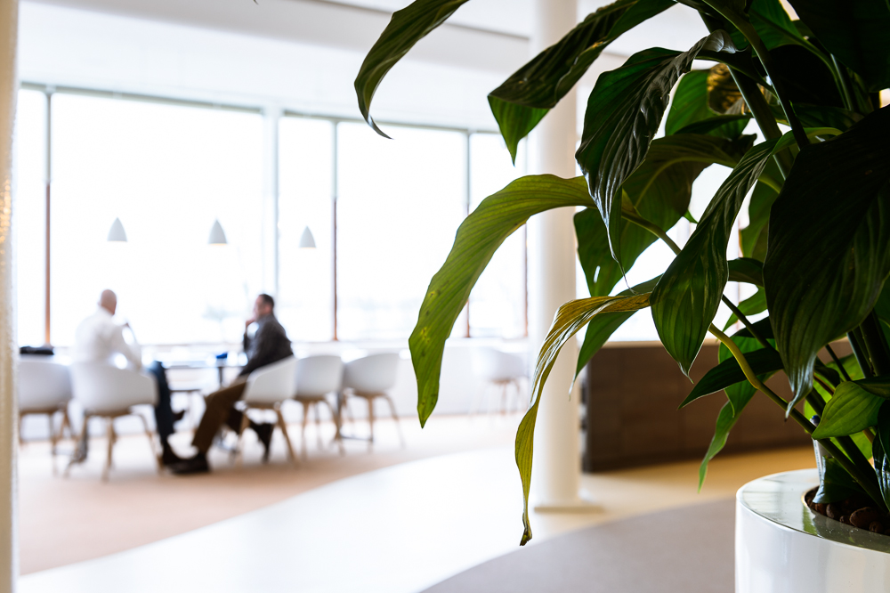 Mind & Health's Calm and Comfortable Office Design | Office Snapshots