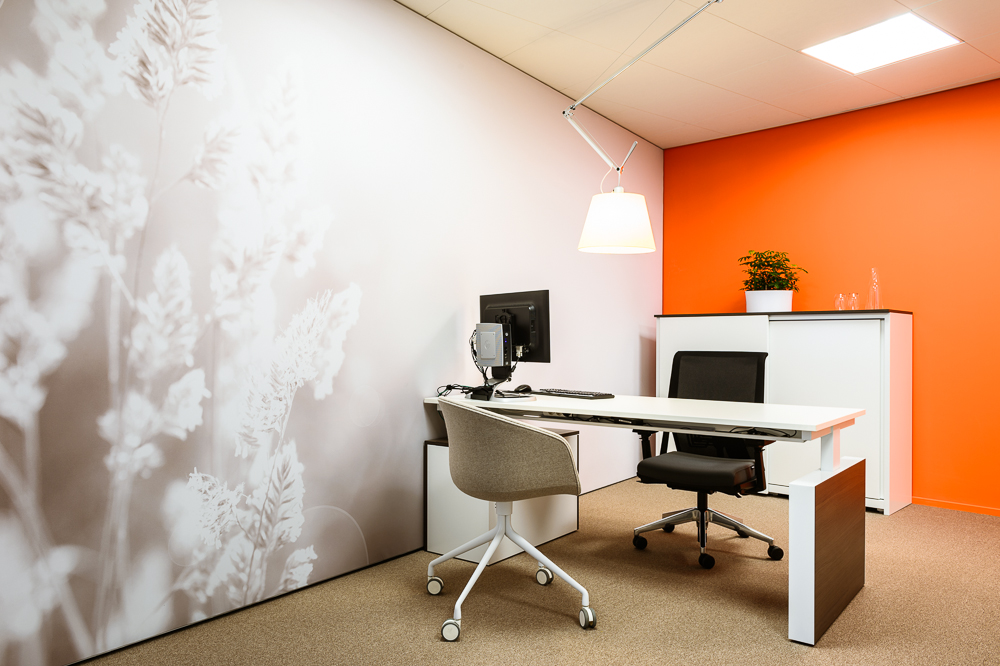 Mind & Health's Calm and Comfortable Office Design | Office Snapshots