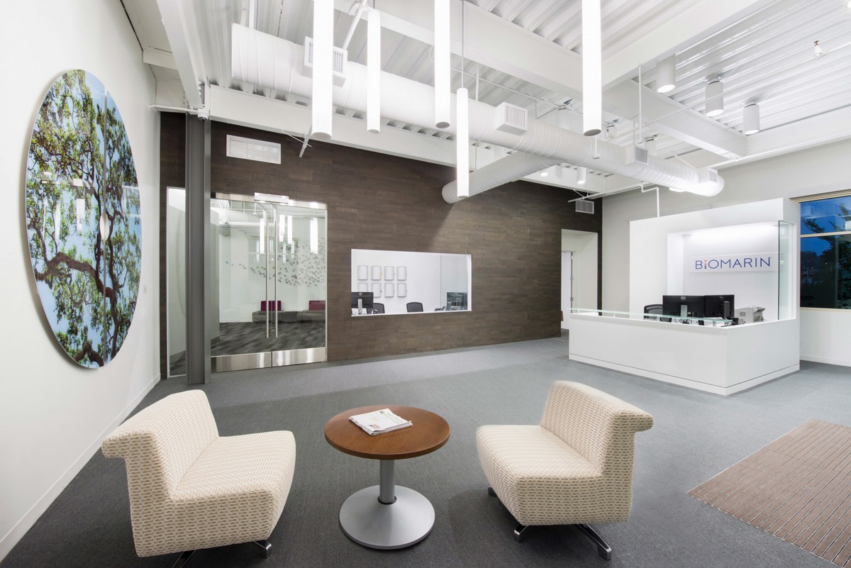 Inside BioMarin's Collaborative San Rafael Offices | Office Snapshots