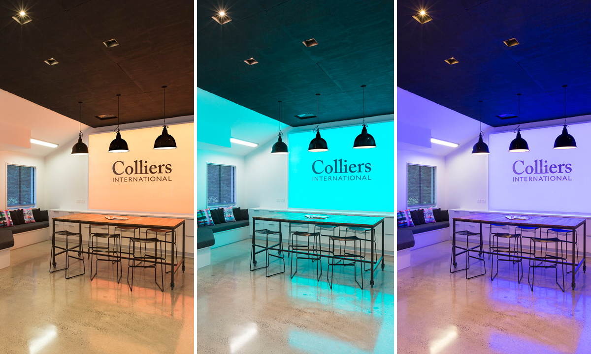 Colliers International's Tauranga Offices | Office Snapshots