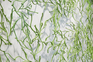 Stripes Group Offices - New York City | Office Snapshots