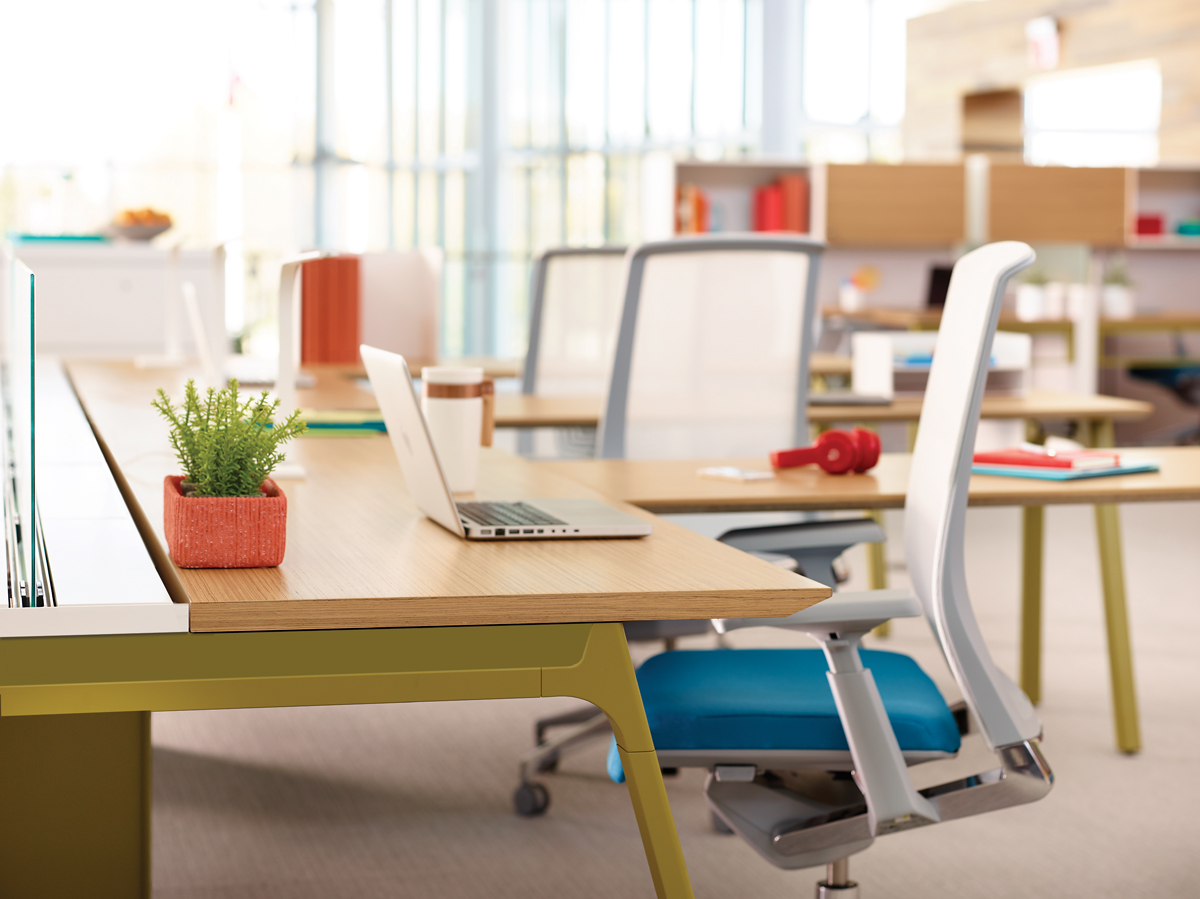 Intuity - Office Snapshots