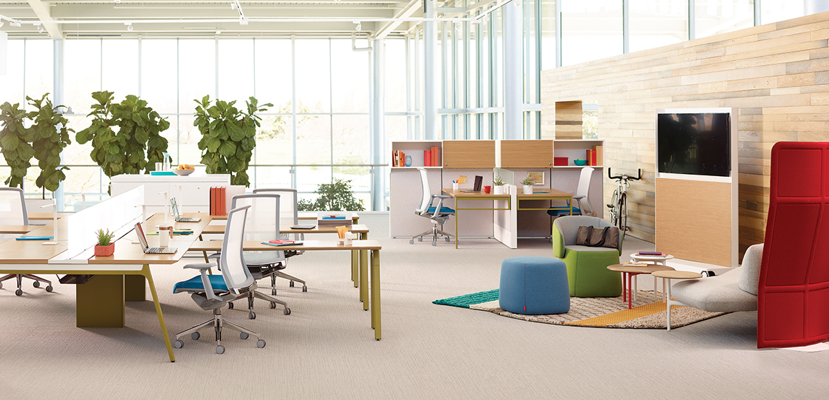 Intuity - Office Snapshots