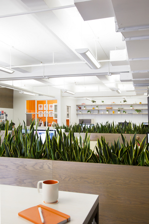 Day One Agency - New York City Offices | Office Snapshots
