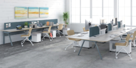 Watson Tonic Collection | Office Snapshots