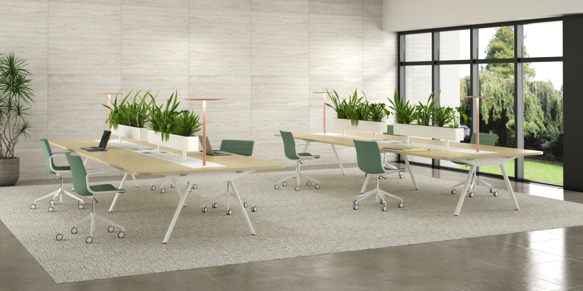 Watson Tonic Collection | Office Snapshots