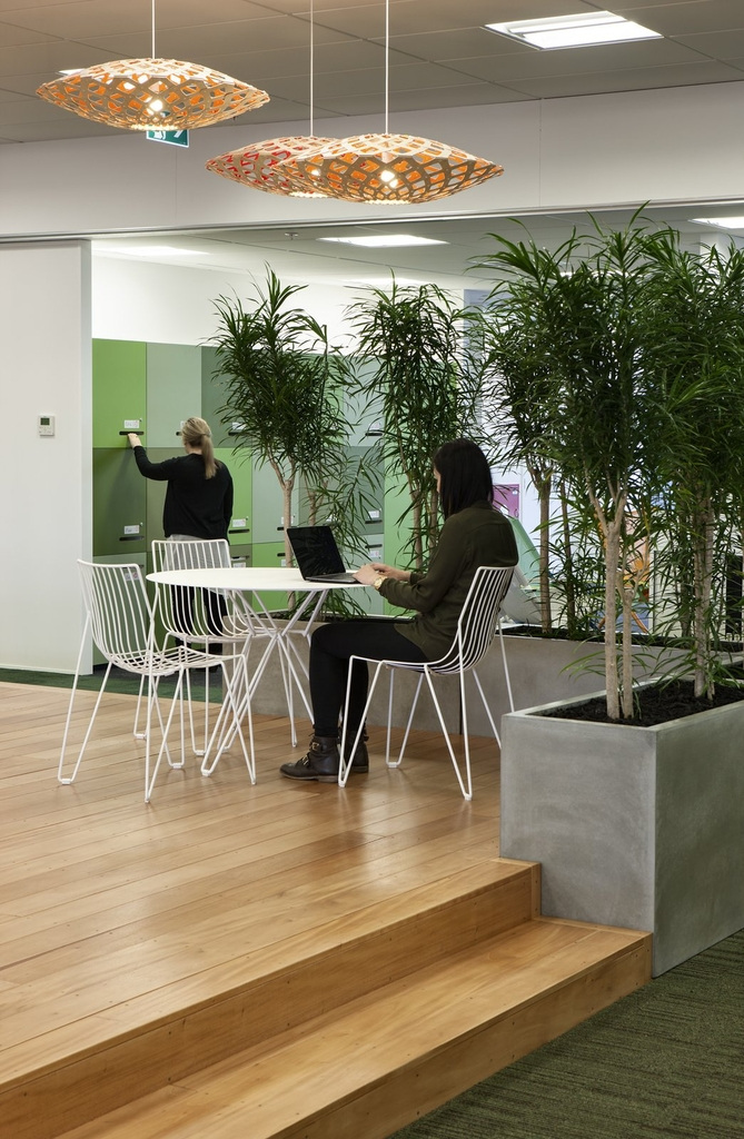Entertainment Company Offices - Auckland | Office Snapshots