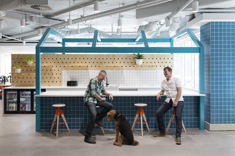 PetSure Offices - Sydney | Office Snapshots