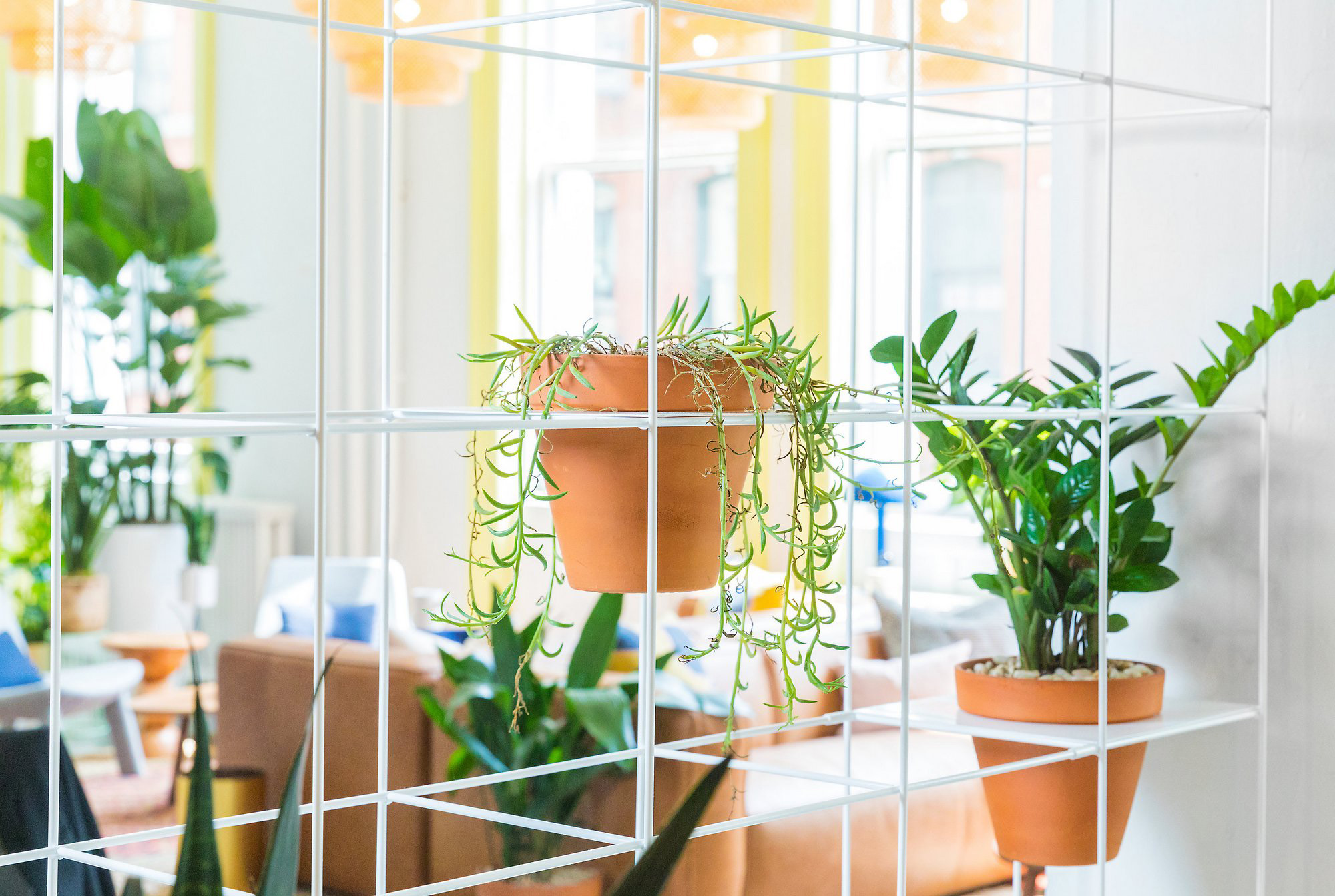 Bombas Offices - New York City | Office Snapshots