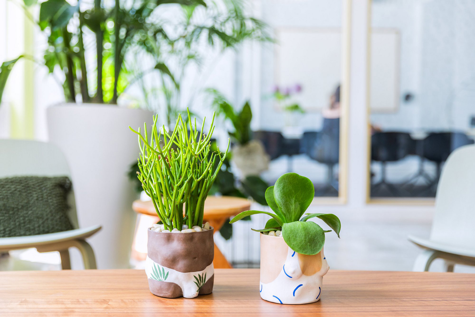 Bombas Offices - New York City | Office Snapshots