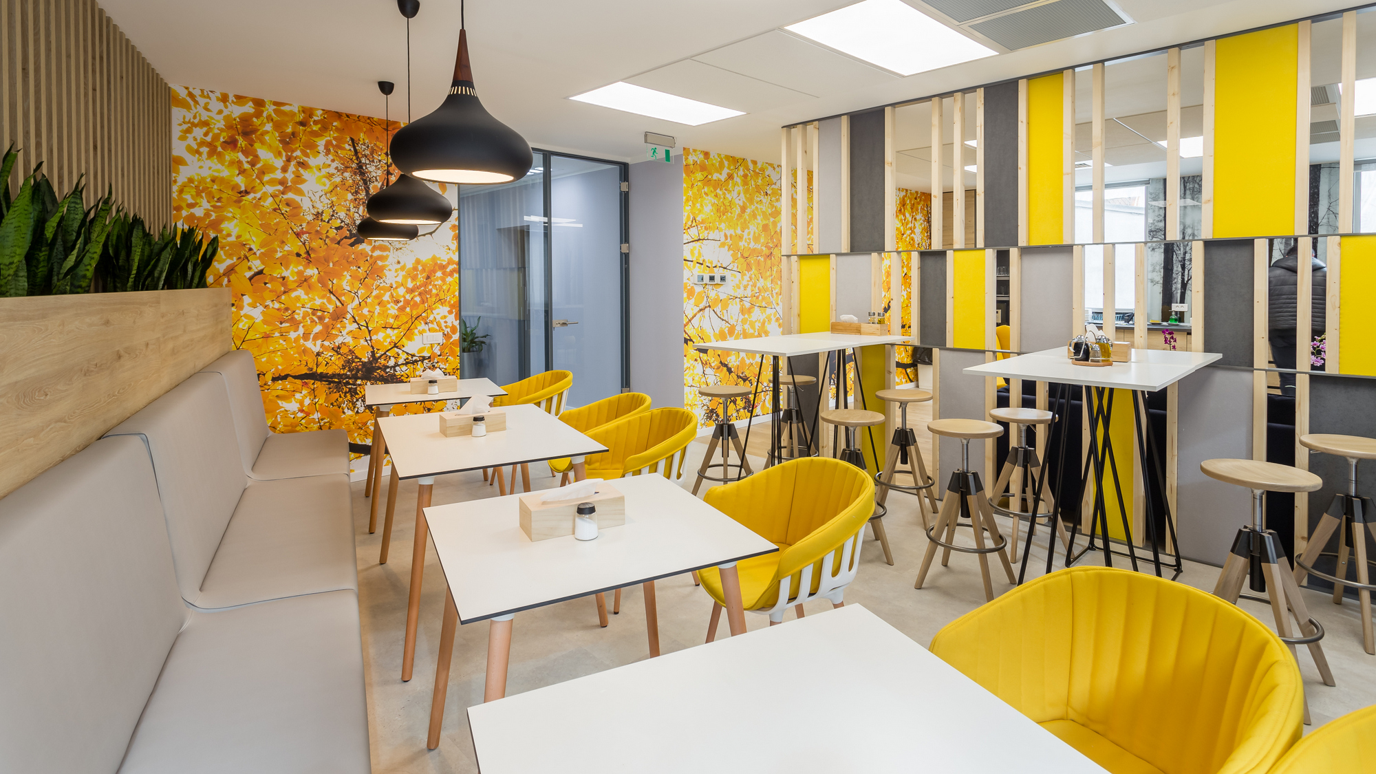 Procredit Bank Offices - Bucharest | Office Snapshots