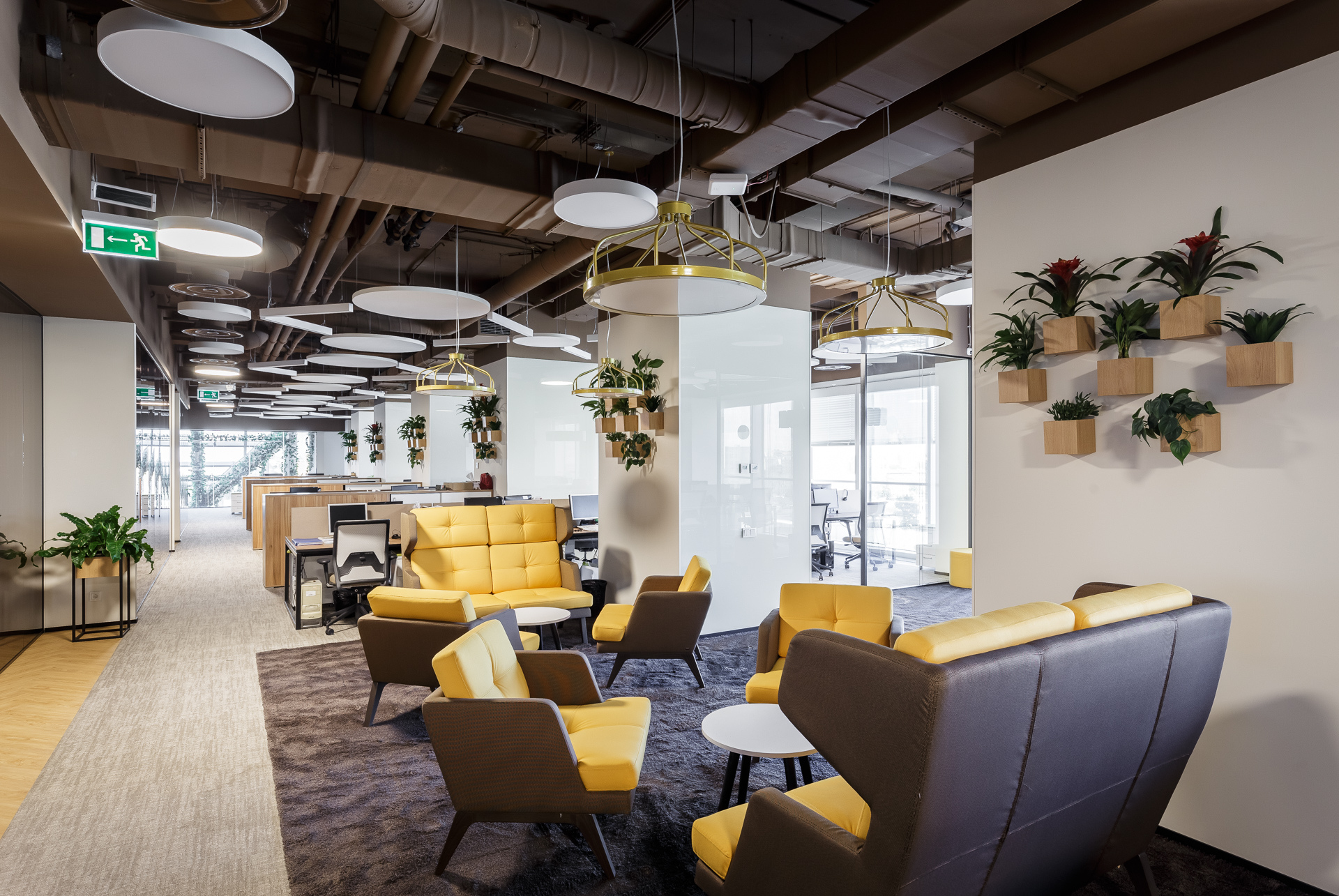 DIXY Offices - Moscow | Office Snapshots