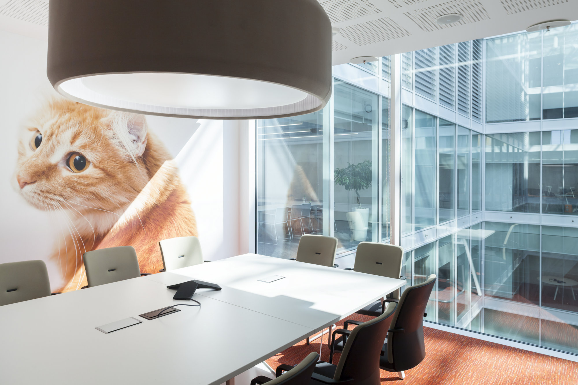 Mars Offices - Moscow | Office Snapshots