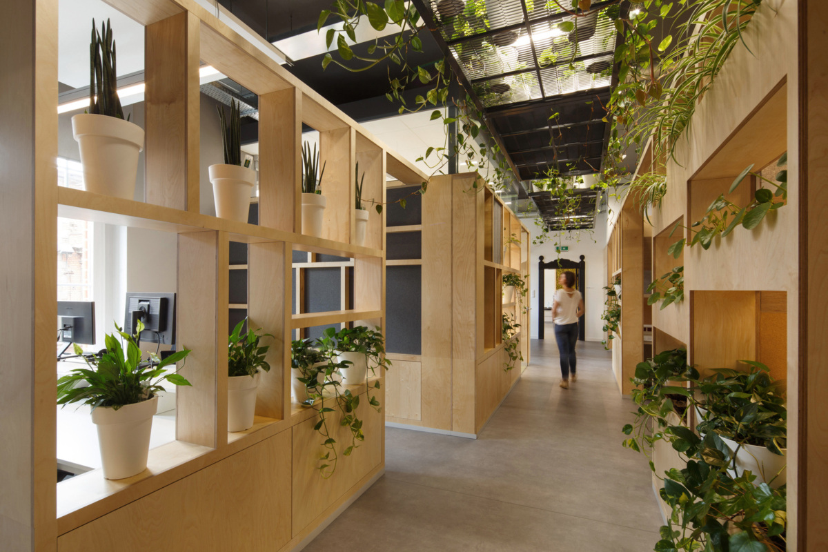 The Software House Offices - Gliwice | Office Snapshots