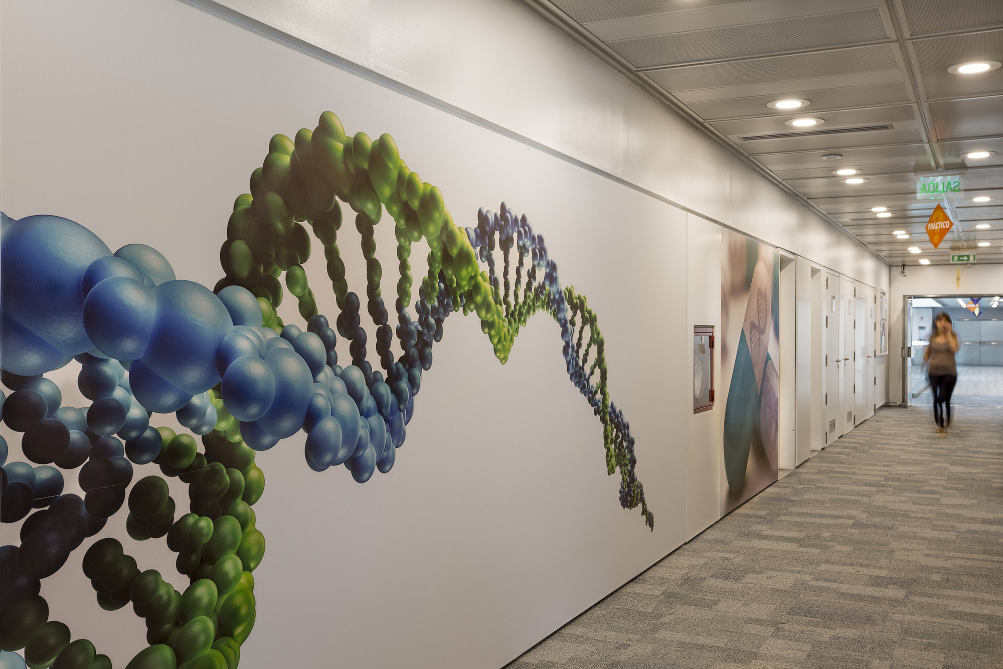 Bayer Offices - Buenos Aires | Office Snapshots