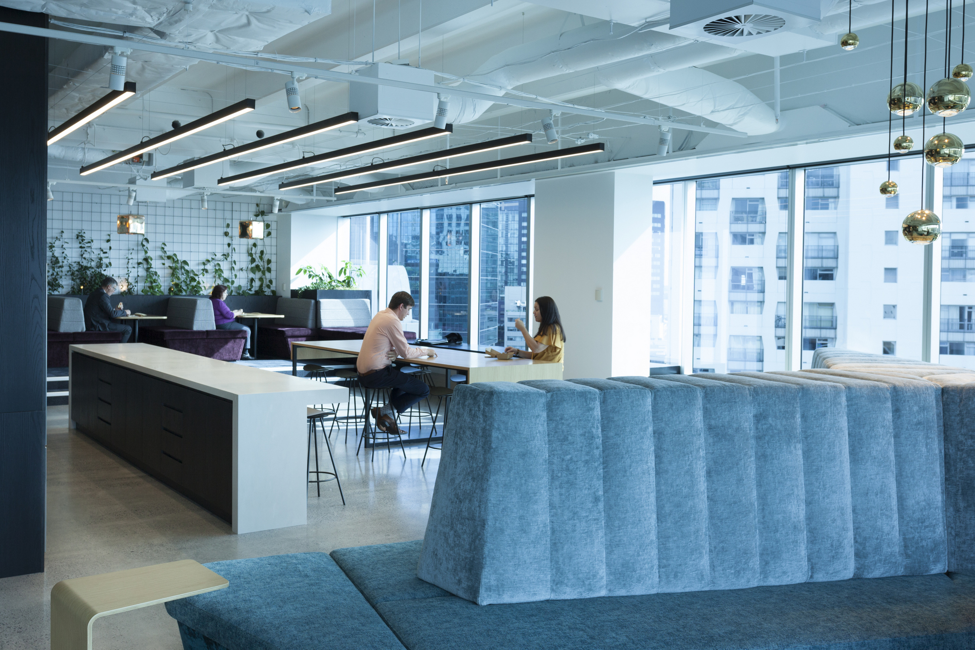 Shieff Angland Offices - Auckland | Office Snapshots