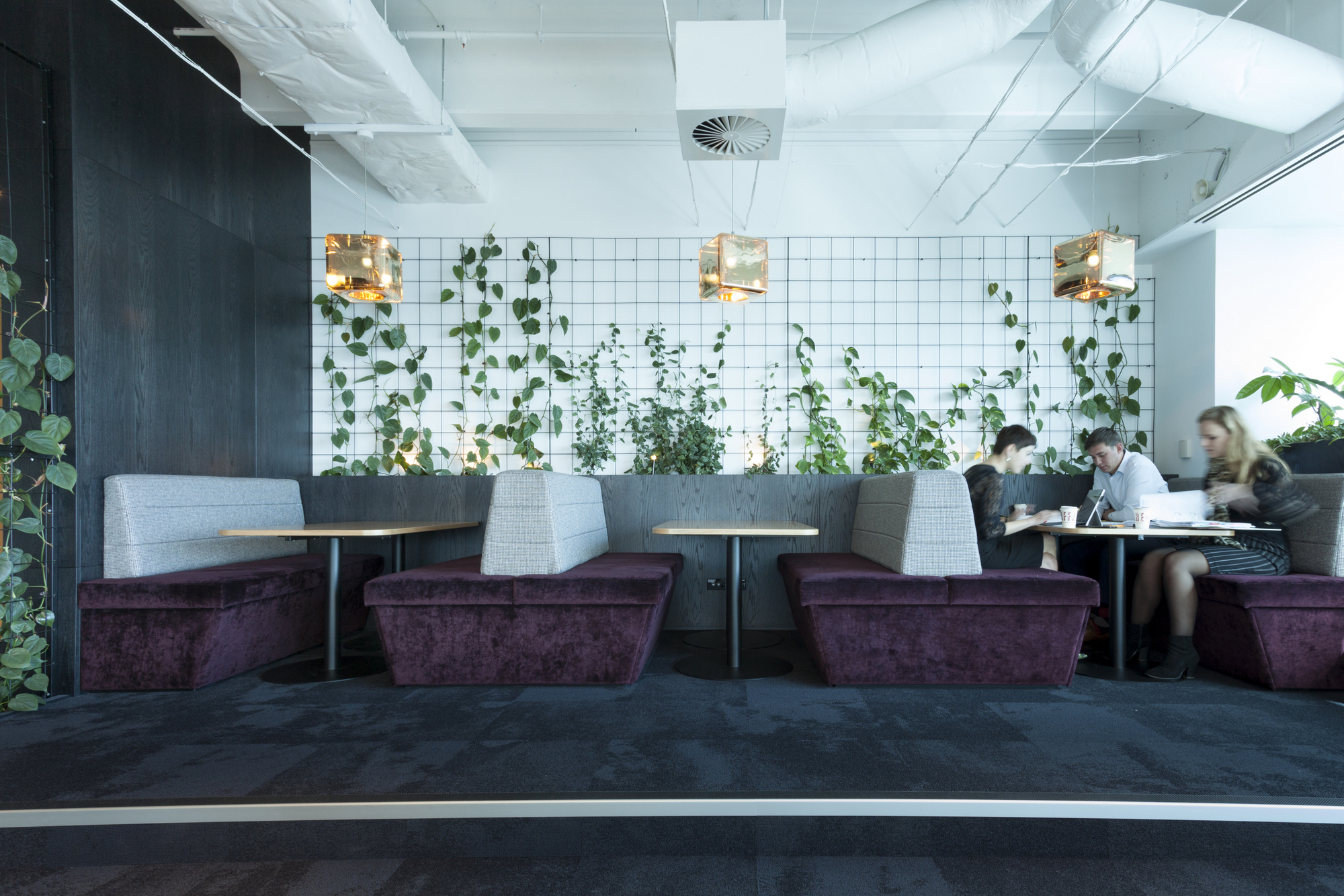 Shieff Angland Offices - Auckland | Office Snapshots