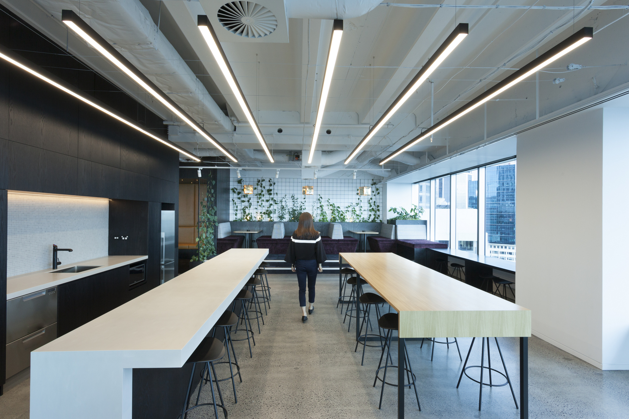 Shieff Angland Offices - Auckland | Office Snapshots