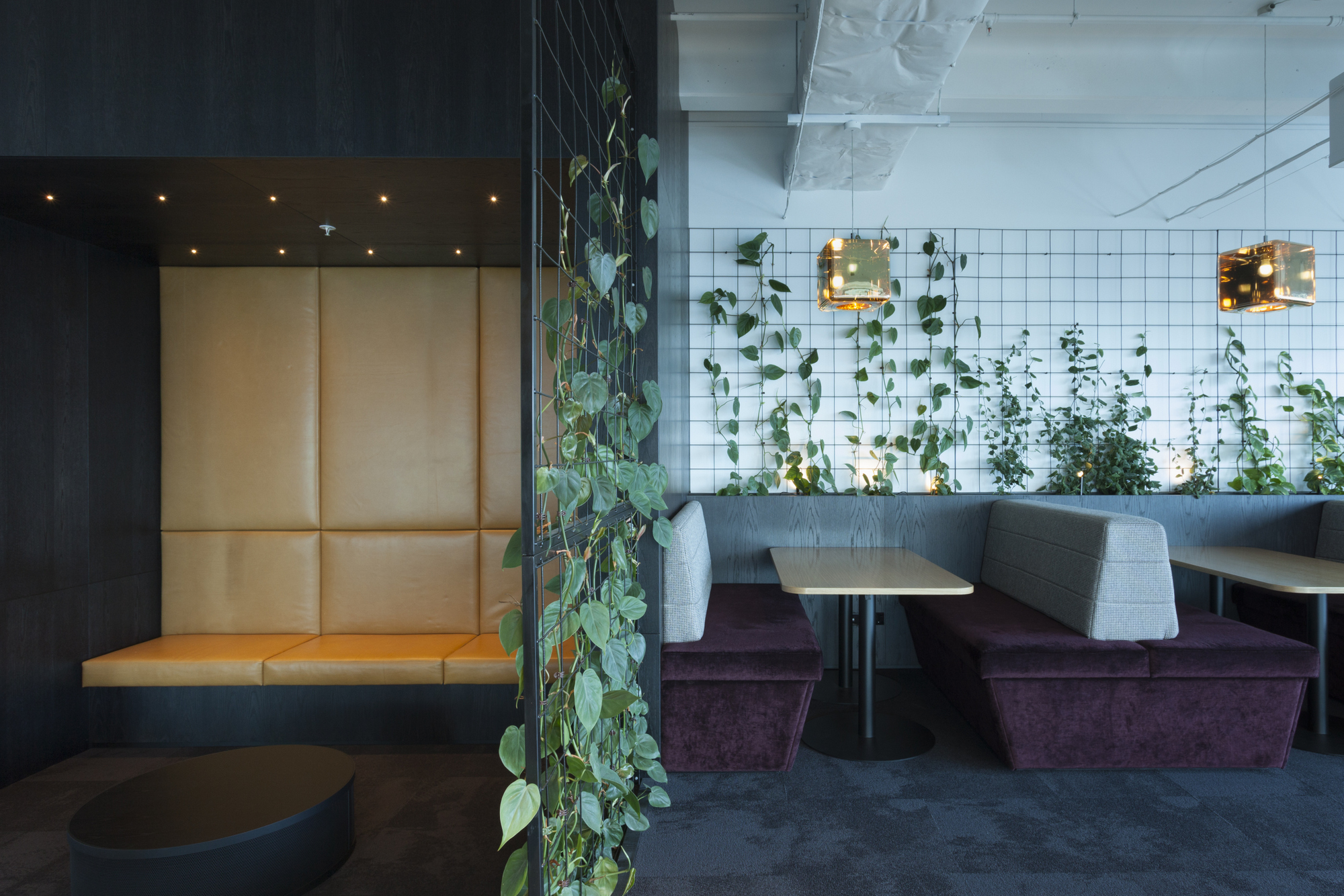 Shieff Angland Offices - Auckland | Office Snapshots