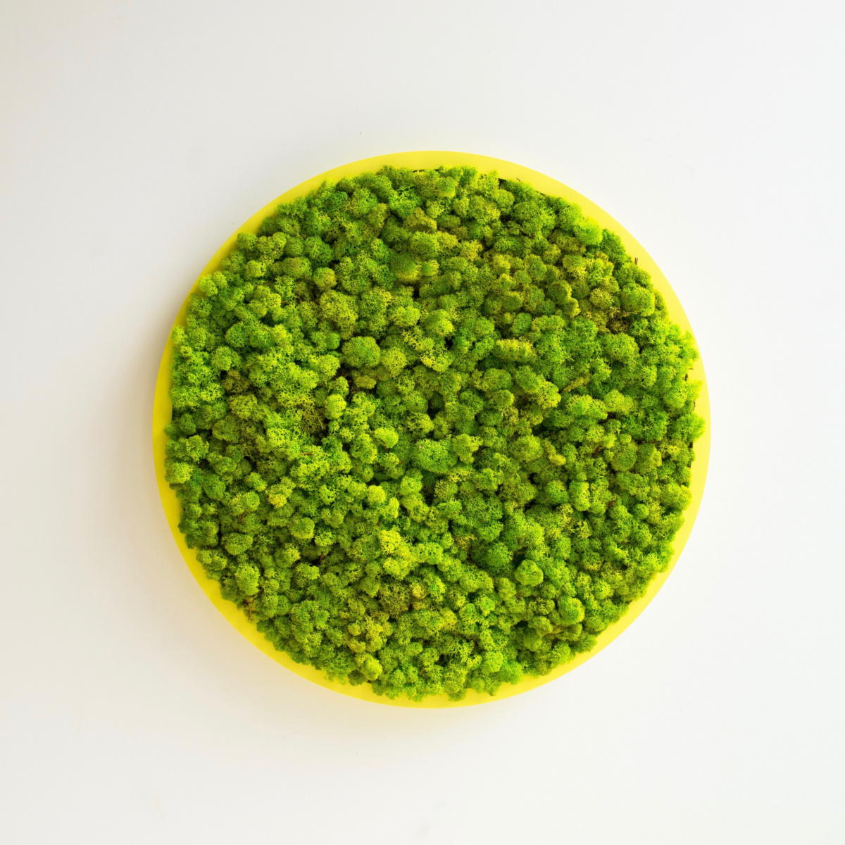 BuzziSpace BuzziMood | Office Snapshots