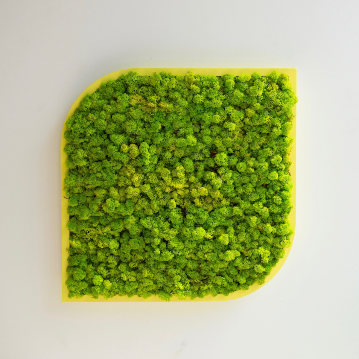 BuzziSpace BuzziMood | Office Snapshots