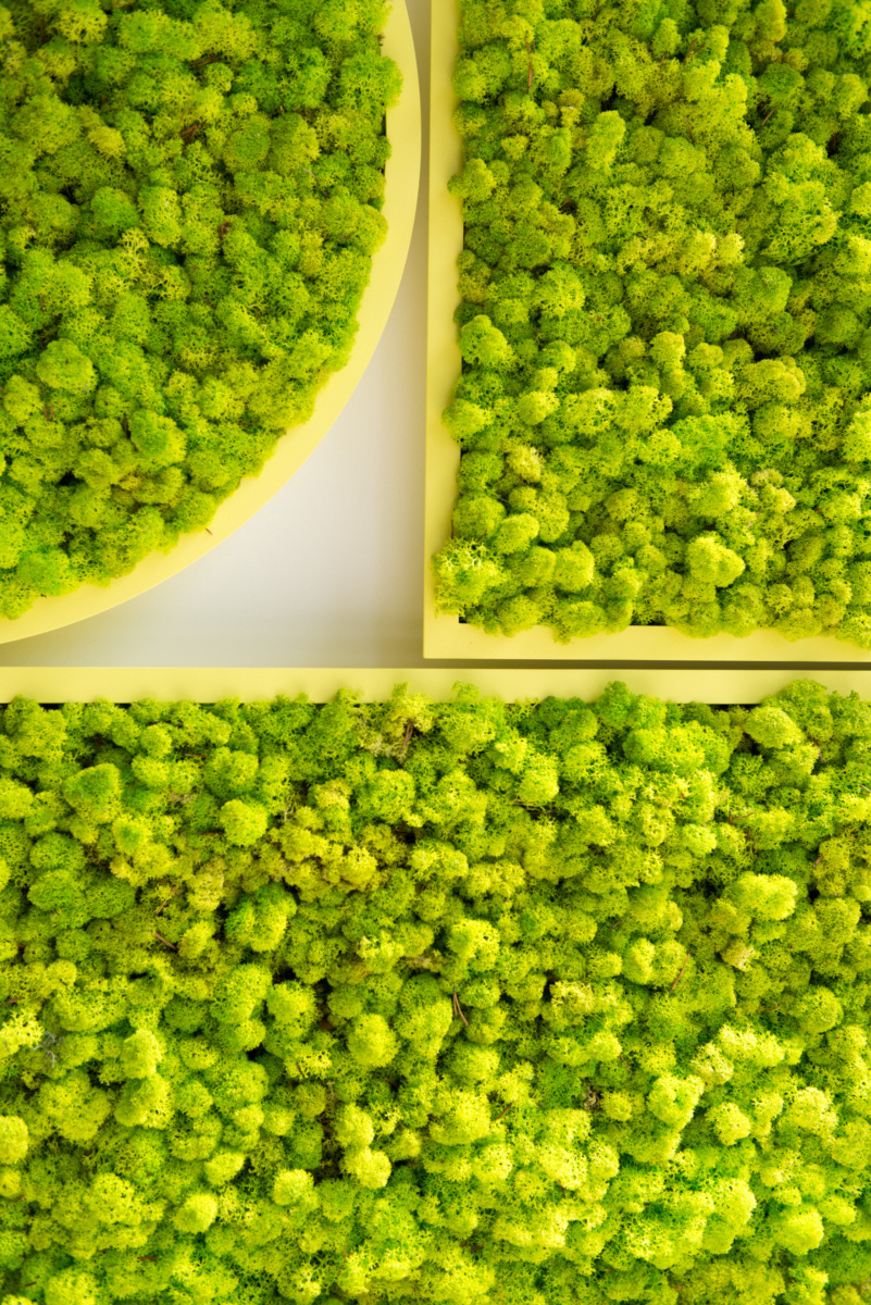 BuzziSpace BuzziMood | Office Snapshots