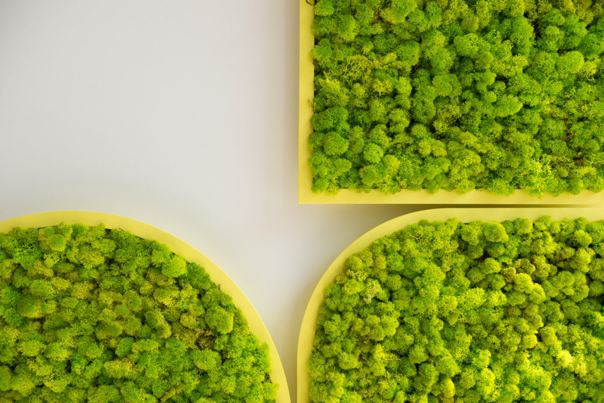 BuzziSpace BuzziMood | Office Snapshots