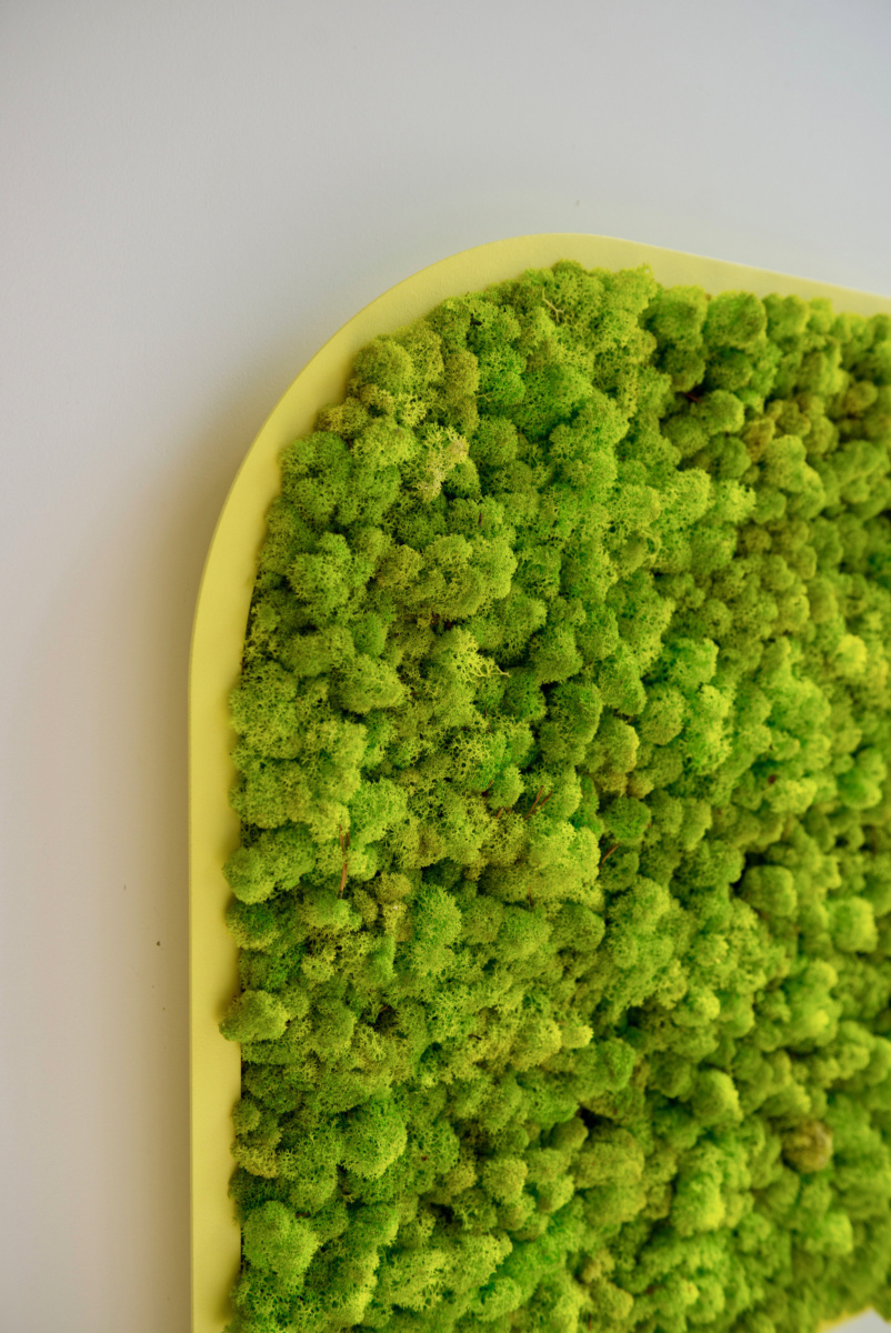 BuzziSpace BuzziMood | Office Snapshots