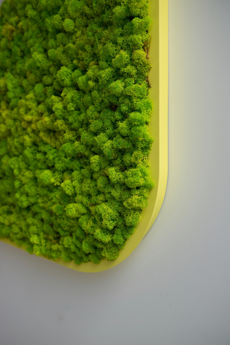 BuzziSpace BuzziMood | Office Snapshots