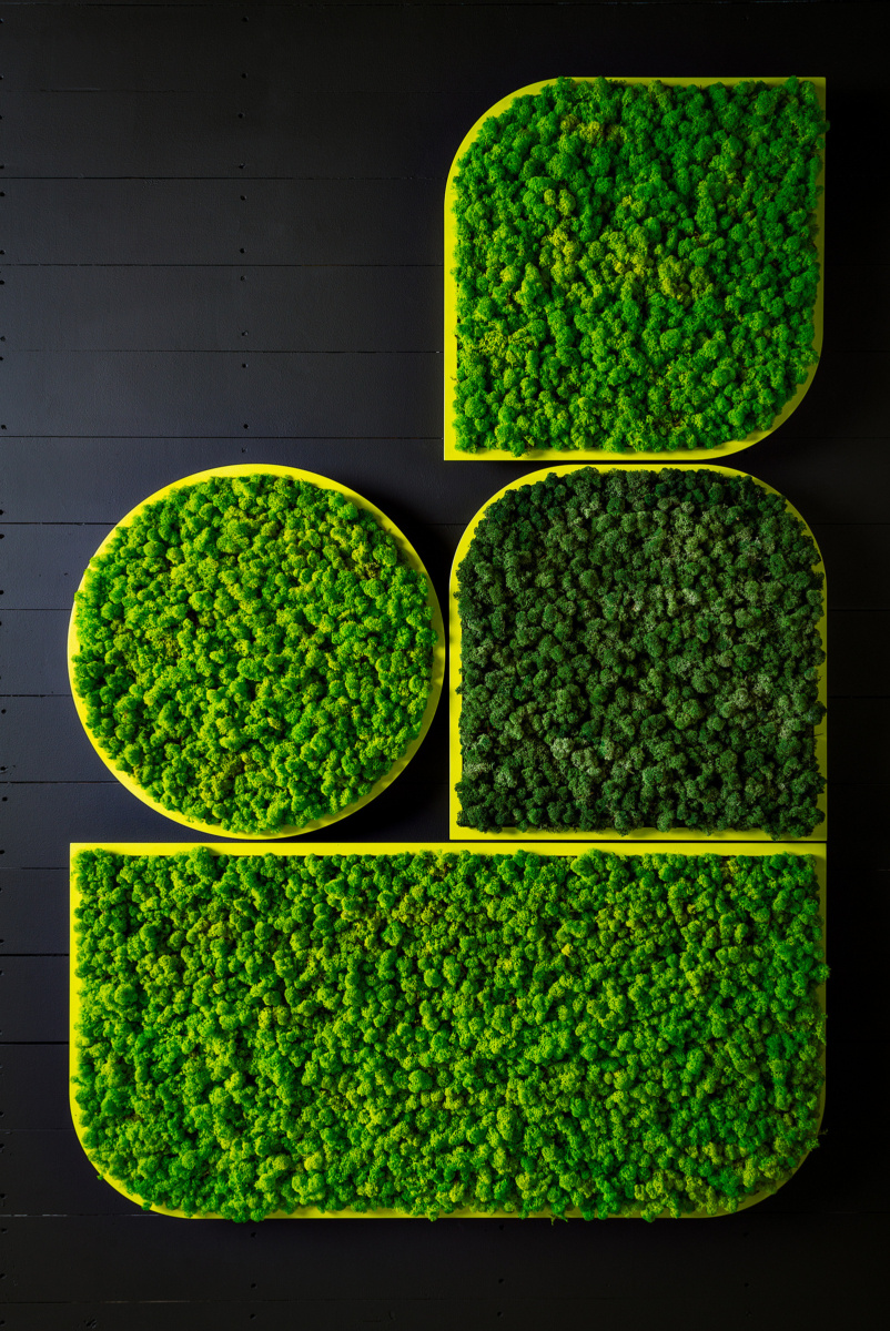 BuzziSpace BuzziMood | Office Snapshots