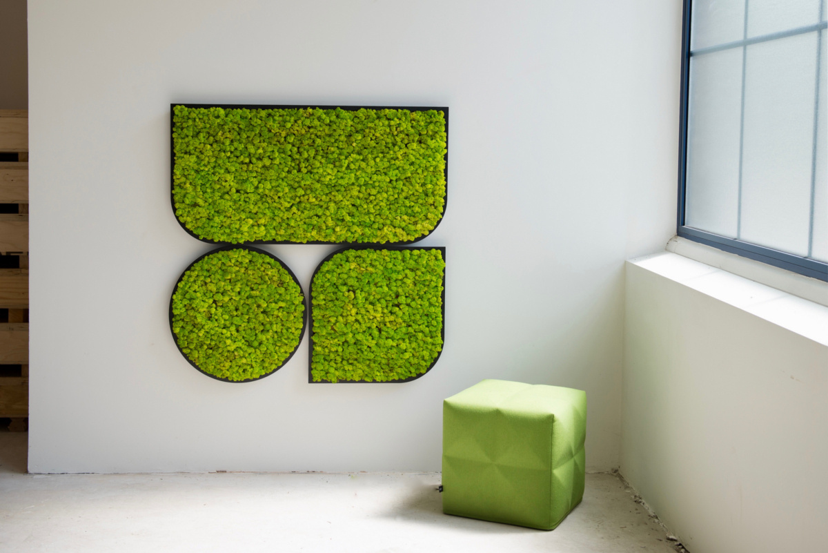 BuzziSpace BuzziMood | Office Snapshots