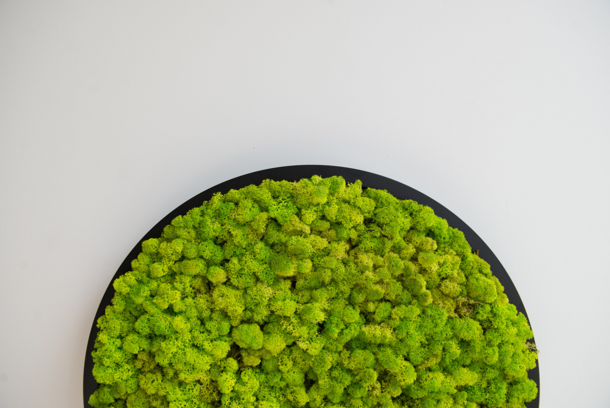 BuzziSpace BuzziMood | Office Snapshots