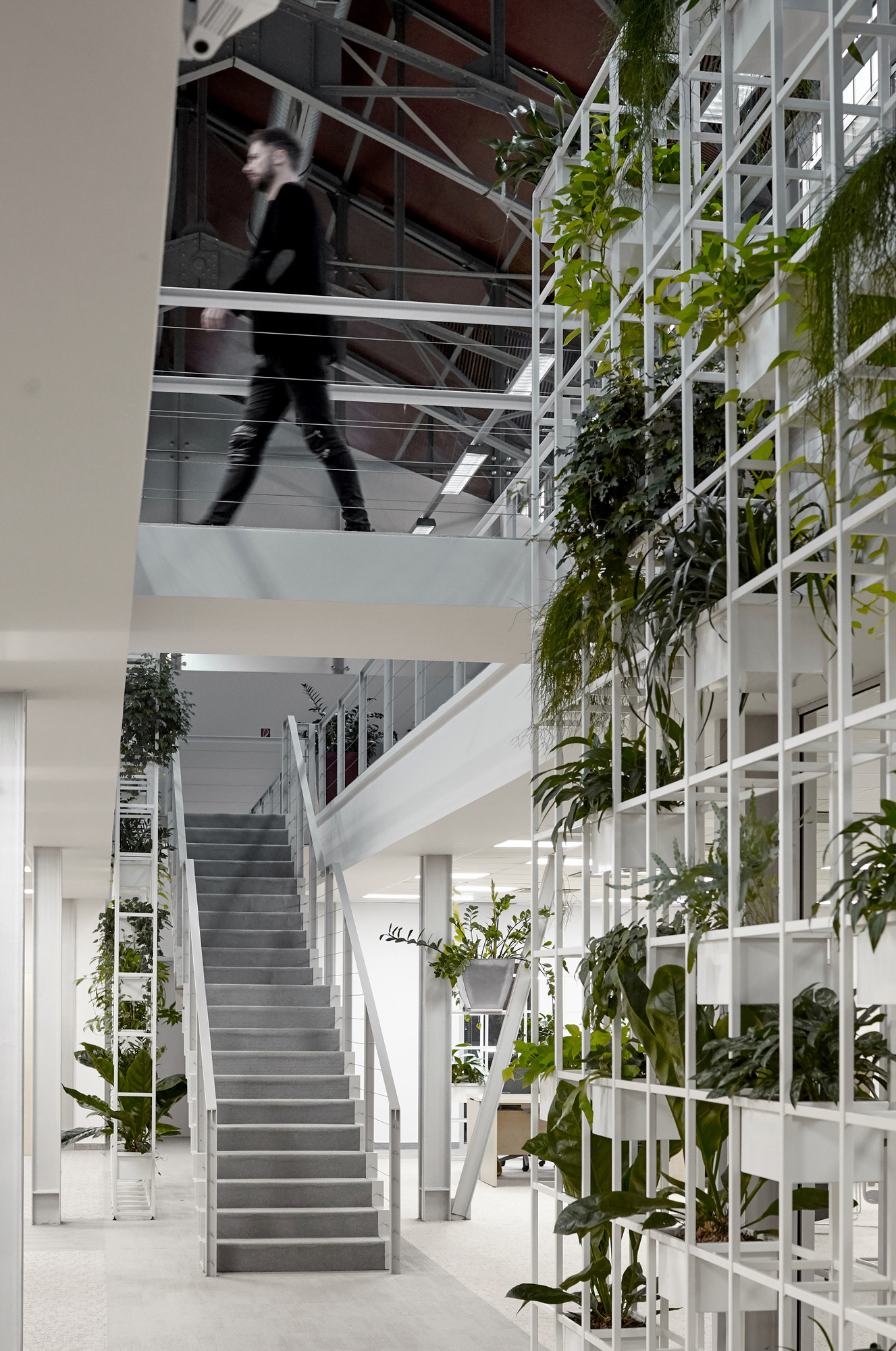 WING Offices - Budapest | Office Snapshots