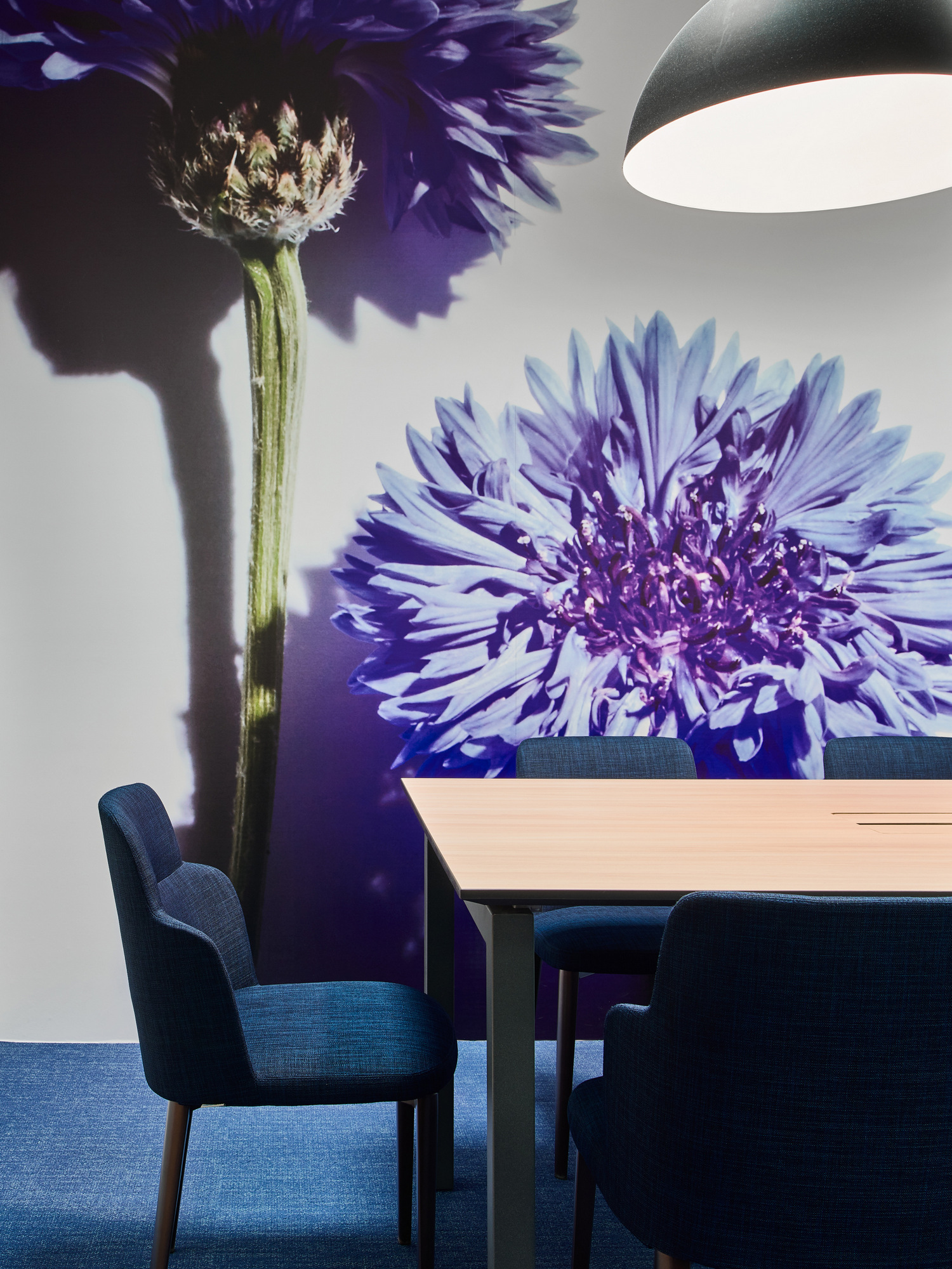 Groupe Clarins Offices - Singapore | Office Snapshots