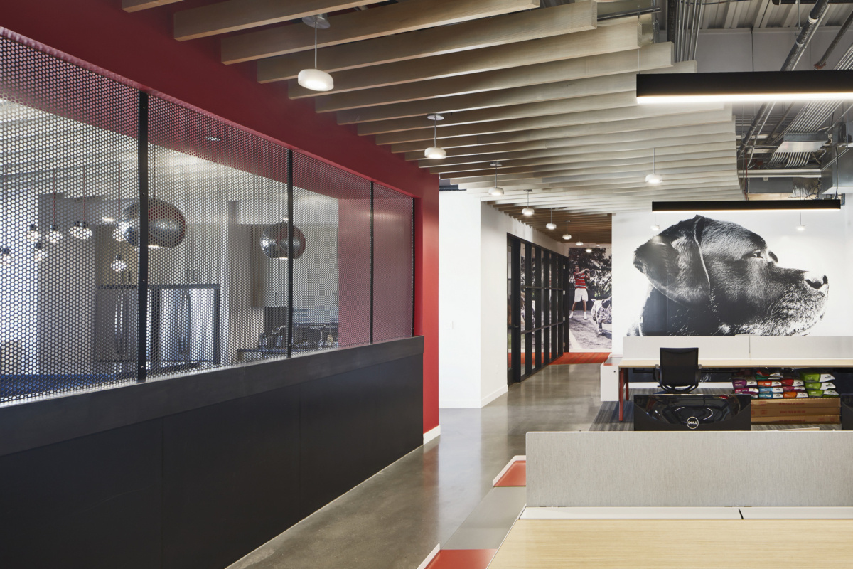 Nulo Pet Food Offices - Austin | Office Snapshots