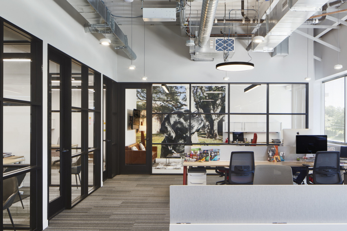 Nulo Pet Food Offices - Austin | Office Snapshots