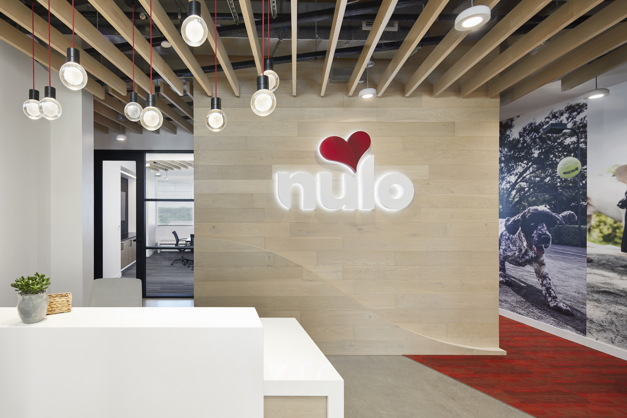 Nulo Pet Food Offices - Austin | Office Snapshots