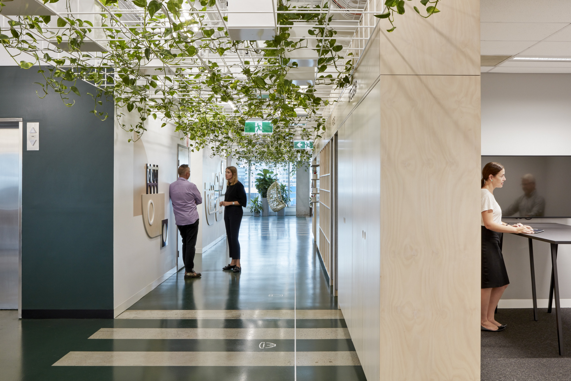 Cardno APAC Offices - Brisbane | Office Snapshots