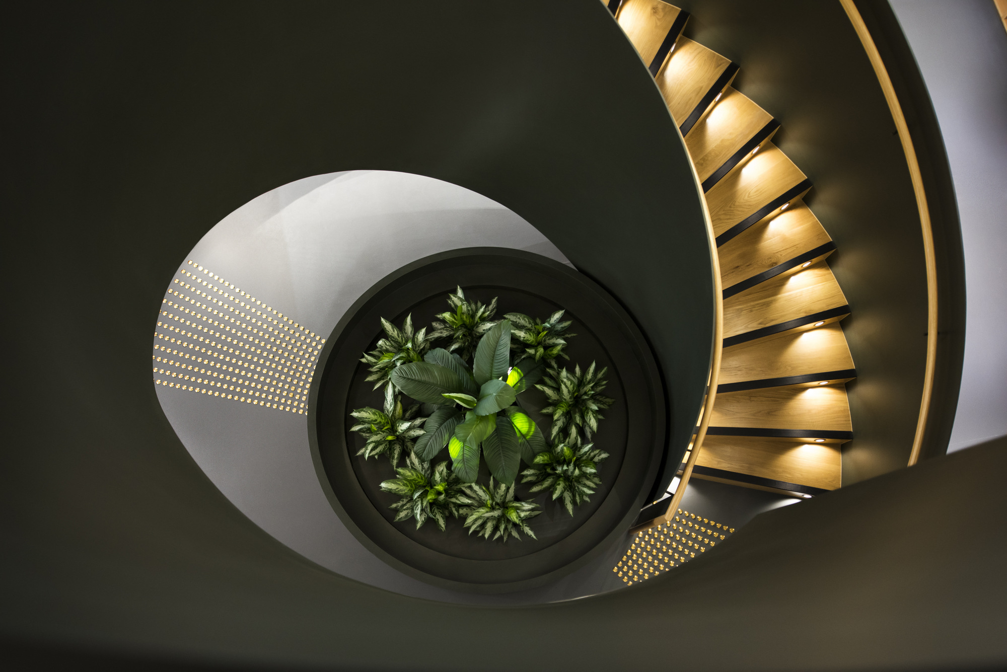 Origin Offices - Brisbane | Office Snapshots