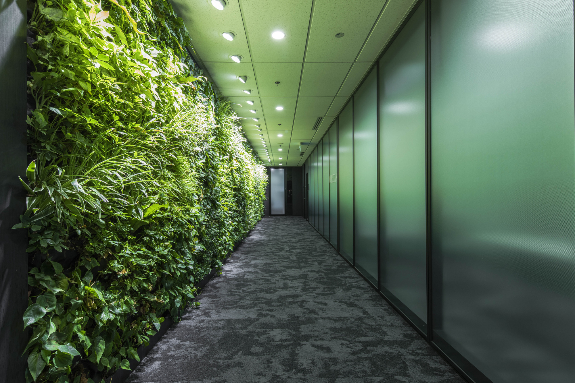 Manulife Offices - Singapore | Office Snapshots