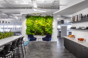 NELSON Offices - Philadelphia | Office Snapshots