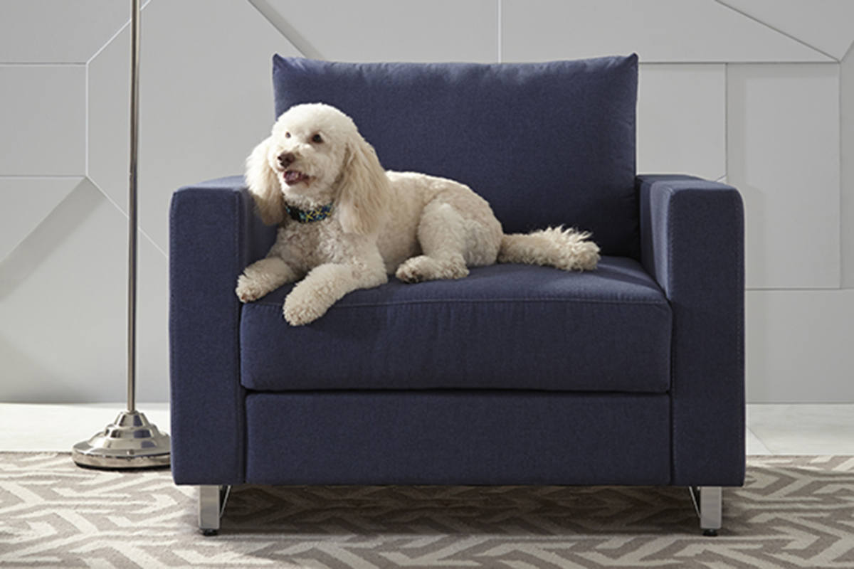 National Collette Lounge | Office Snapshots