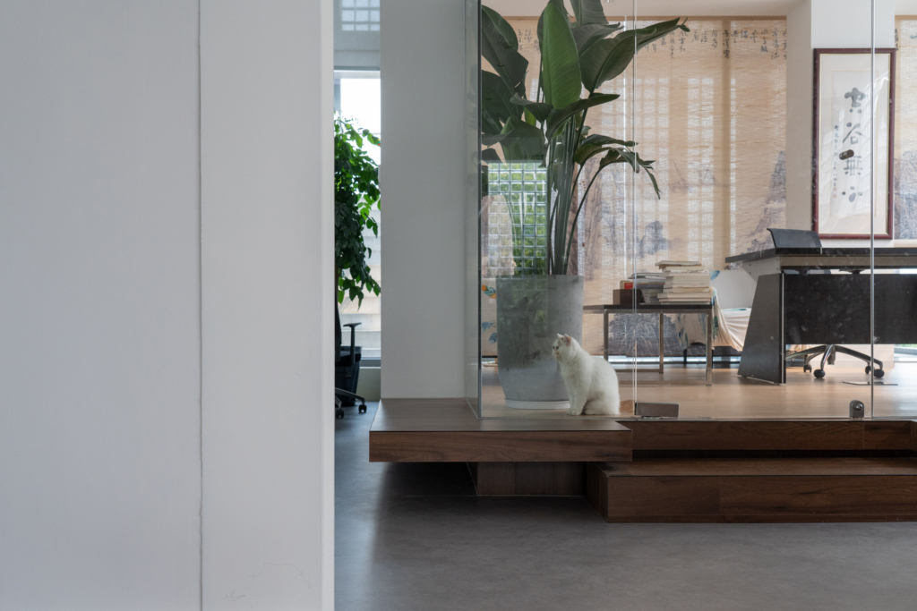 Focus Advertising Agency Offices - Shanghai | Office Snapshots