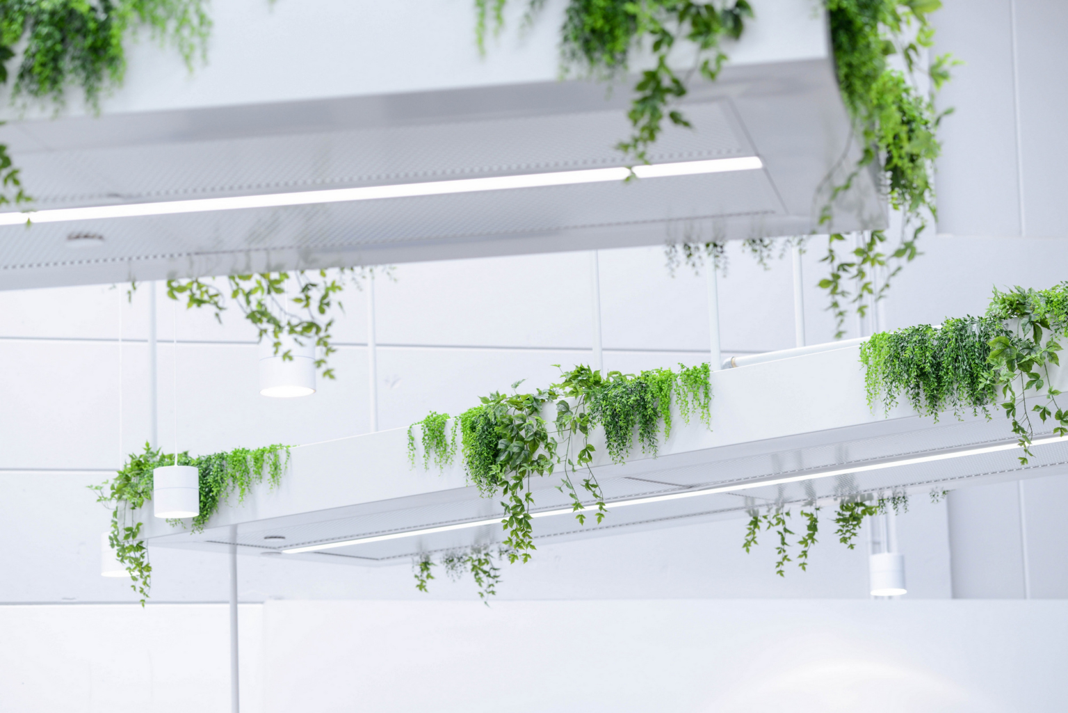 ProAV Solutions & Profile Systems Offices - Sydney | Office Snapshots