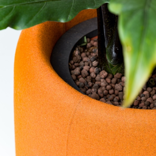 BuzziSpace BuzziPlanter | Office Snapshots