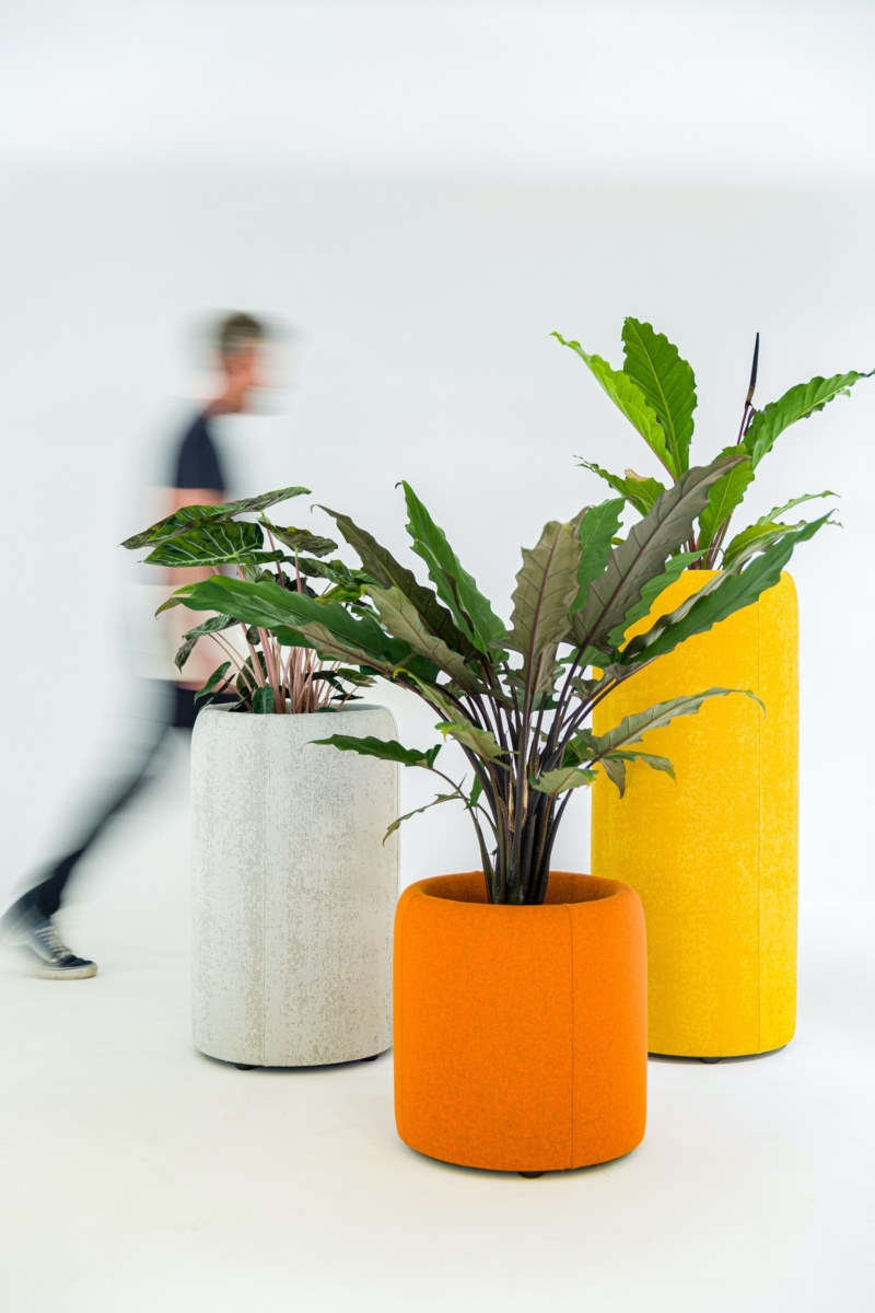 BuzziSpace BuzziPlanter | Office Snapshots