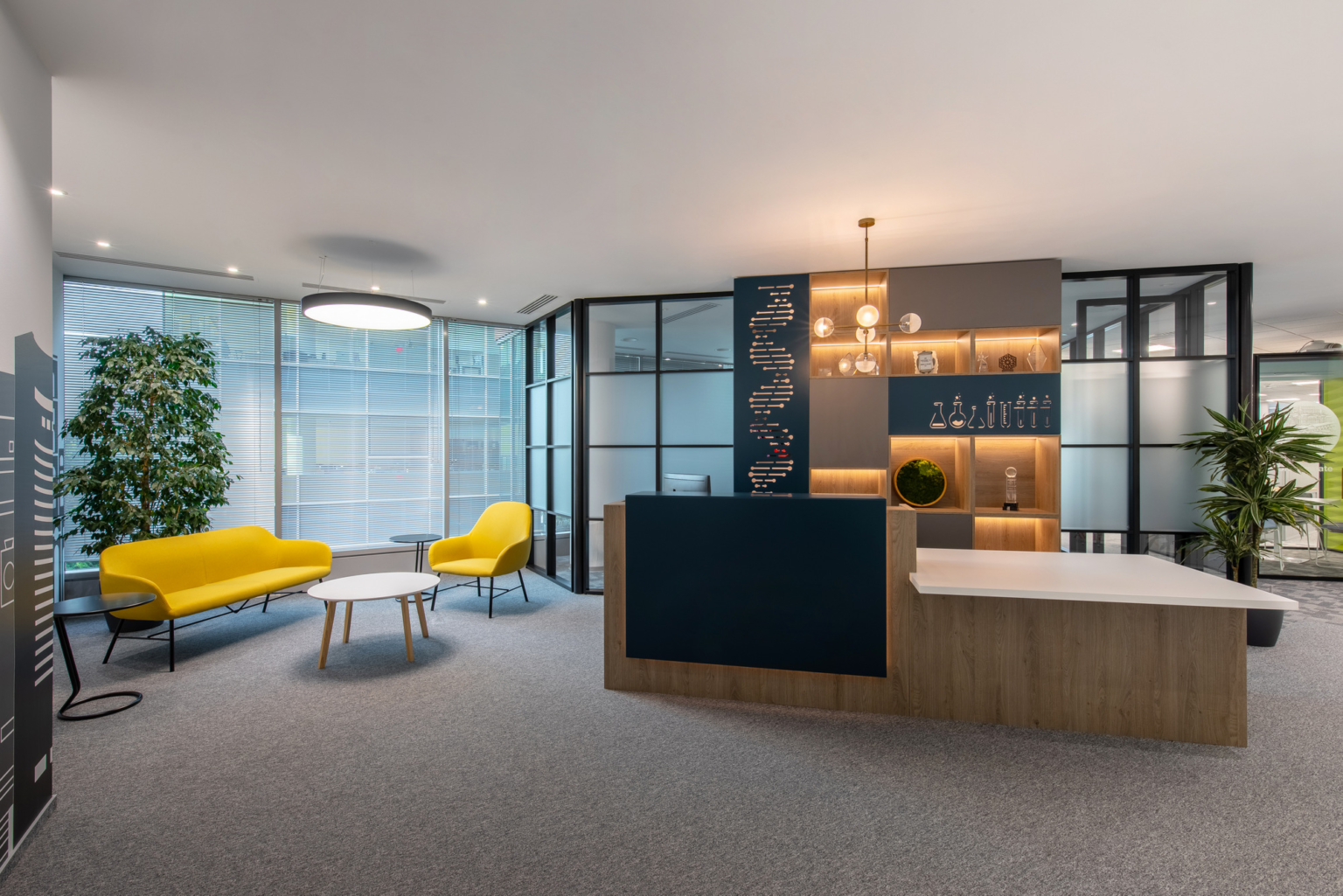 Confidential Pharmaceutical Company Offices - Bucharest | Office Snapshots