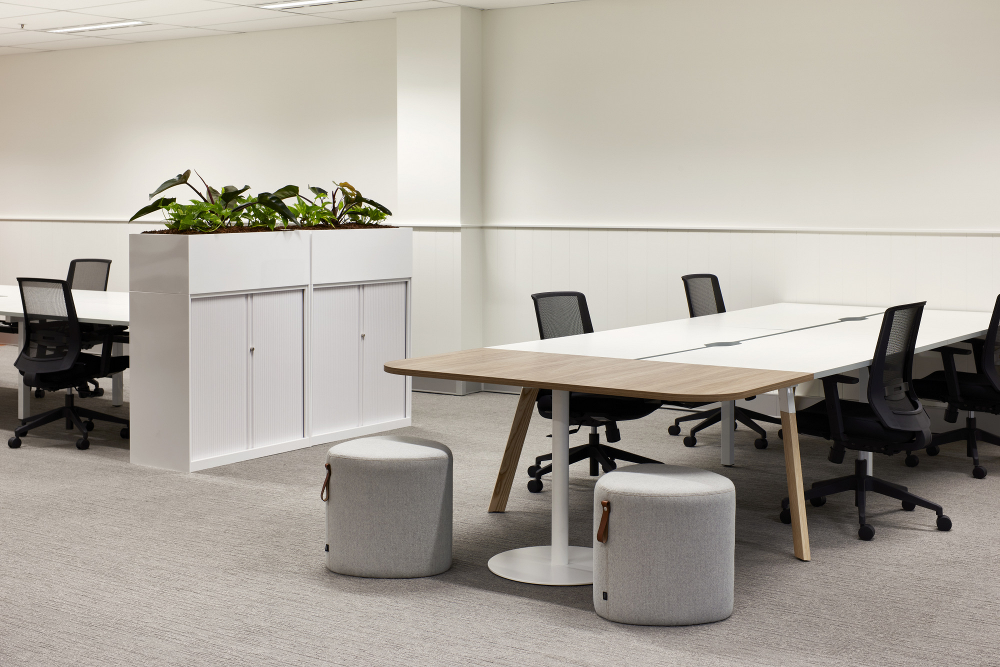 DWS Group Spec Suite - Sydney | Office Snapshots