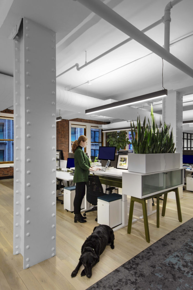 International WELL Building Institute Offices - New York City | Office ...